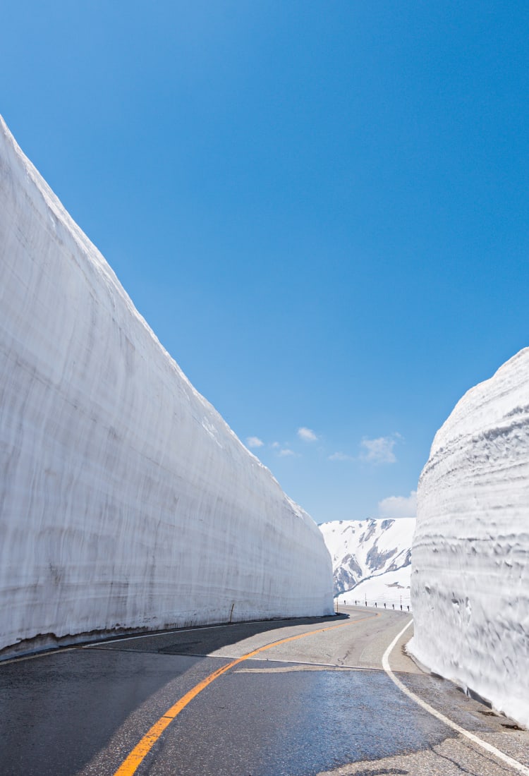 5 Hal yang Dapat Dilakukan di Tateyama Kurobe Alpine Route