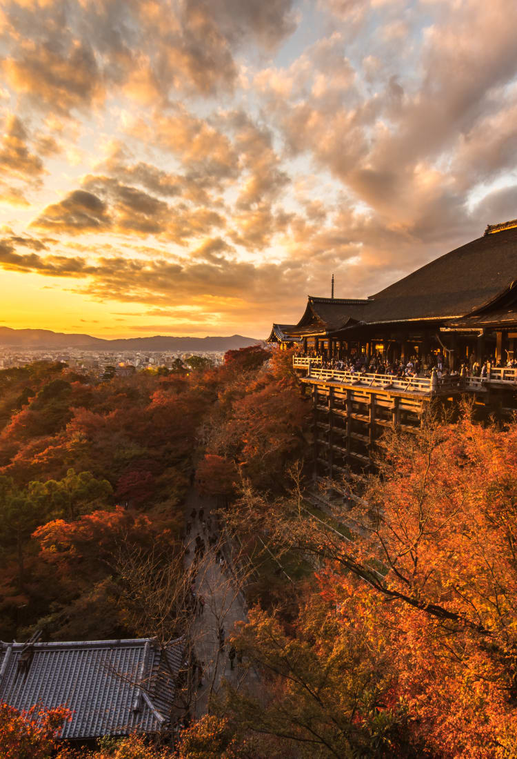 Viagem a Quioto | O melhor de Quioto | Viagem ao Japão | JNTO