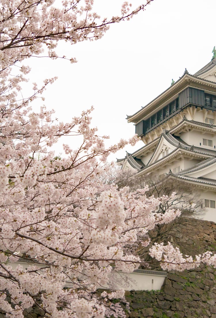 Kitakyushu | Fukuoka | Kyushu | Destinations | Travel Japan (Japan ...