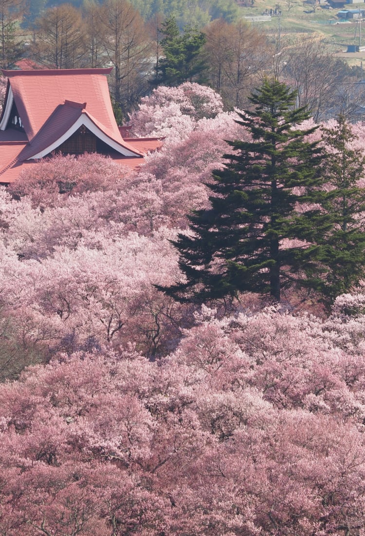 Otsu | Shiga Attractions | Travel Japan | JNTO