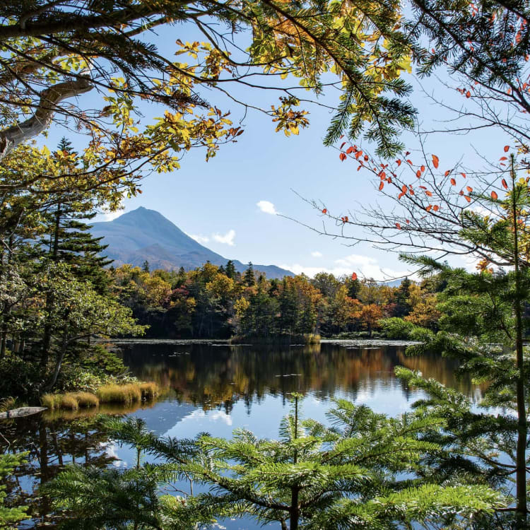 Shiretoko: The Other Side of Hokkaido