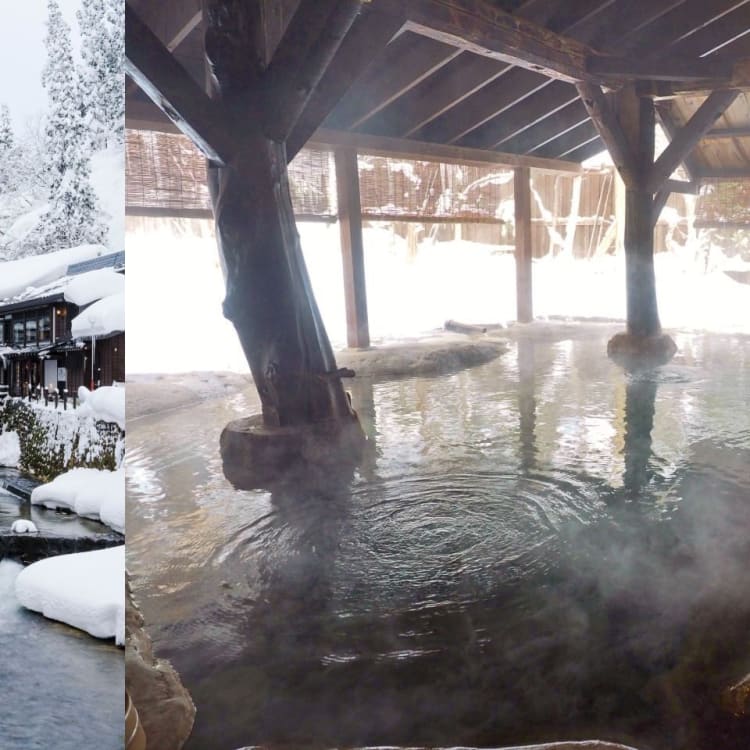 Killing Three Birds with One Stone!? Fun Experience, Beautiful ...