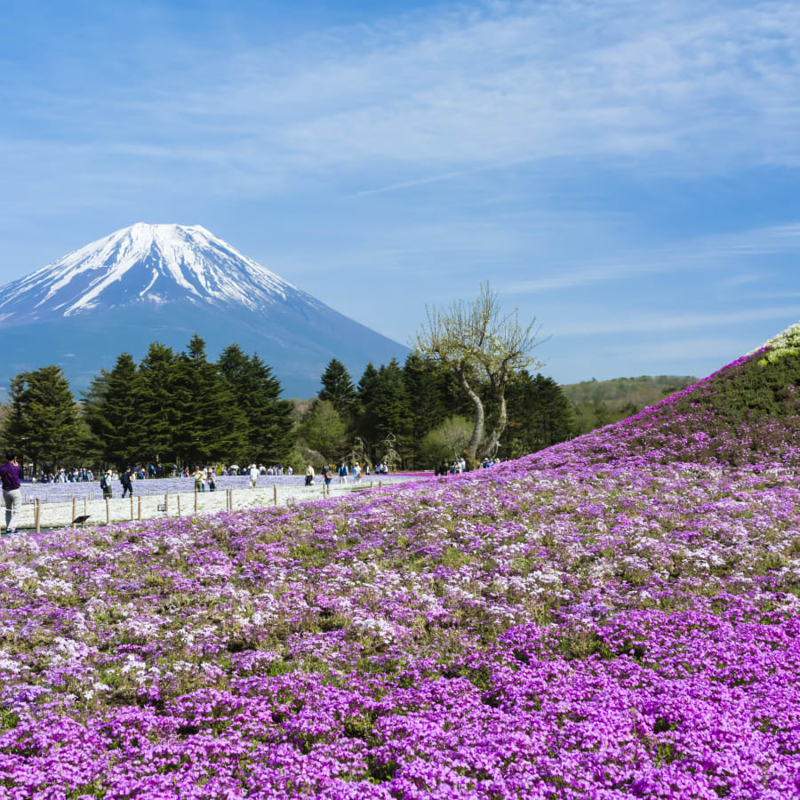 Mt.Fuji Guía | Travel Japan（Organización Nacional de Turismo de Japón）