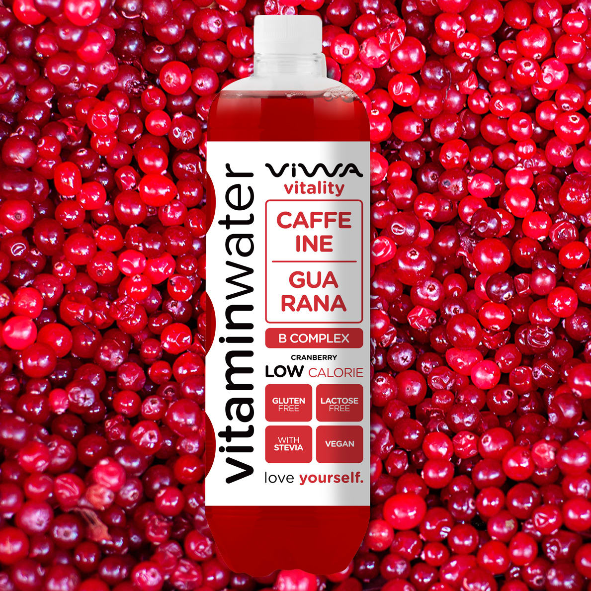 George Katsafados Ltd - VIWA VITAMIN WATER VITALITY CRANBERRY 0.5L
