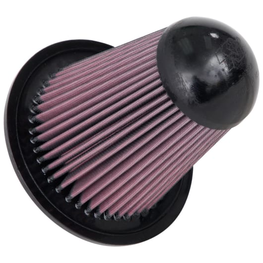 Ford Mustang Mach 1 Air Filter