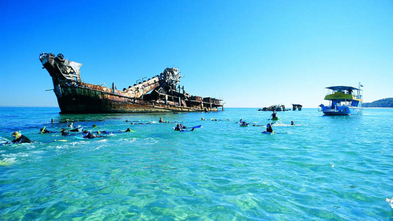 Tangalooma Island Day Tour Cruise from Brisbane - Adult