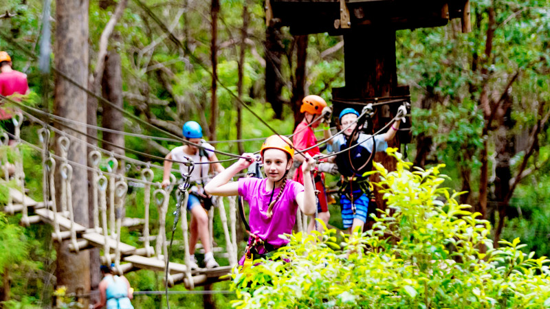 High Ropes and Flying Fox Adventure - Tamborine