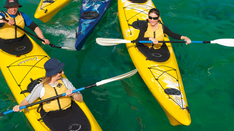Sea Kayak Coastline Tour of Dolphin Sanctuary