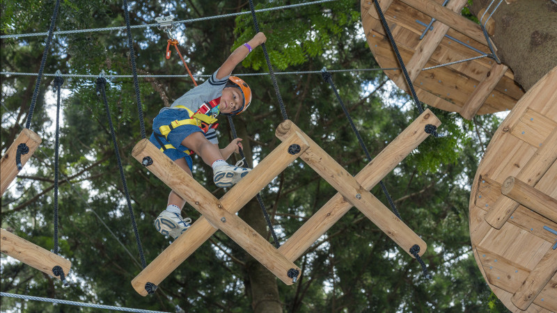 Children's Treetop Adventure Course - Ages 3-9