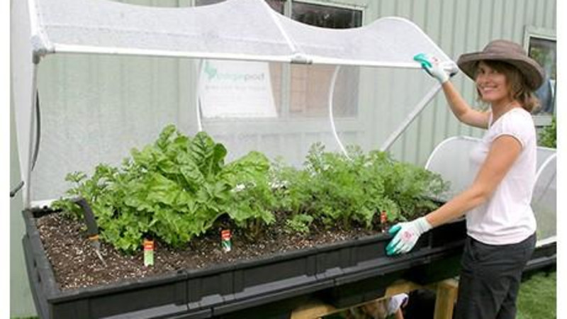 Vegepod Raised Garden Beds with Cover - Large