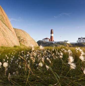 The Norwegians’ summer island paradise - Official travel guide to ...