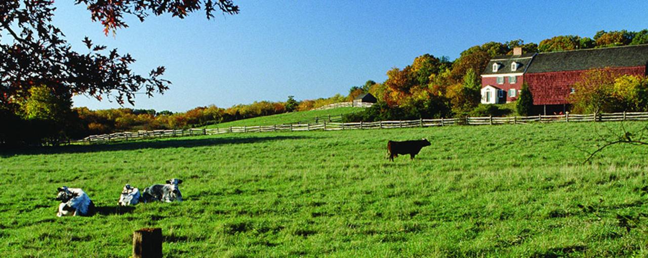 New York Farm Tours | Orchards, Dairy Farms, Local Foods