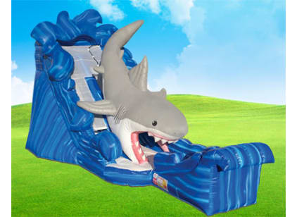 Houston, TX | Shark Inflatable Slide Rentals | Sky High Party Rentals
