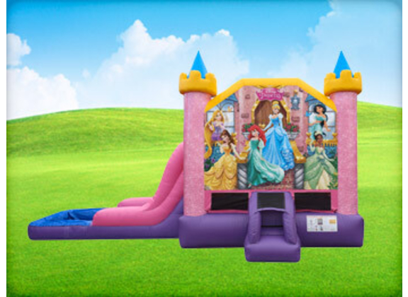 Houston, TX Disney Princess Inflatable Slide | Sky High Party Rentals