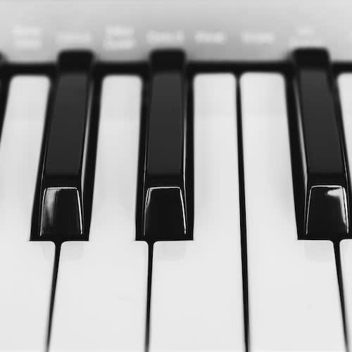 Catalogs - PrimalHouse Music